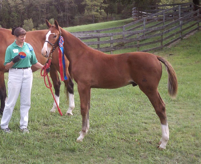 TripTheLightFantastic