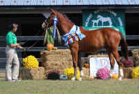 TripTheLightFantastic