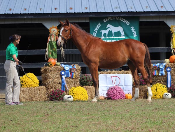 TripTheLightFantastic