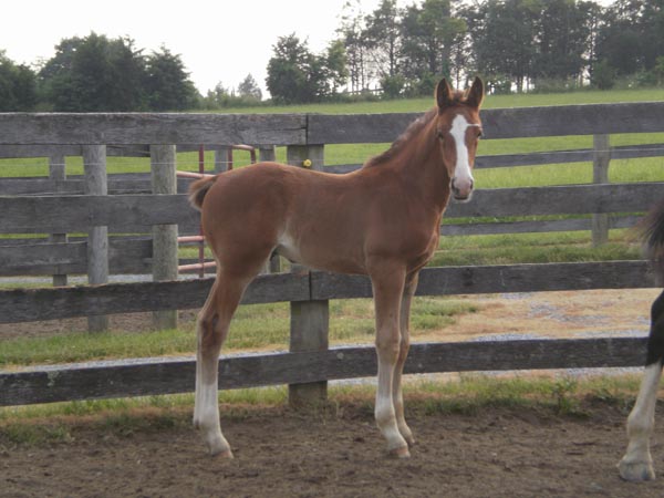 TripTheLightFantastic