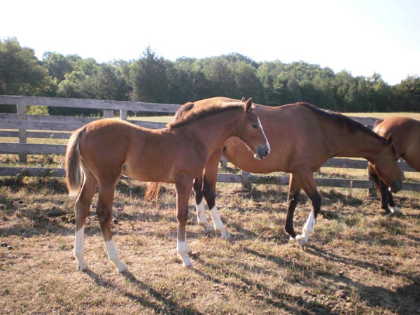 TripTheLightFantastic