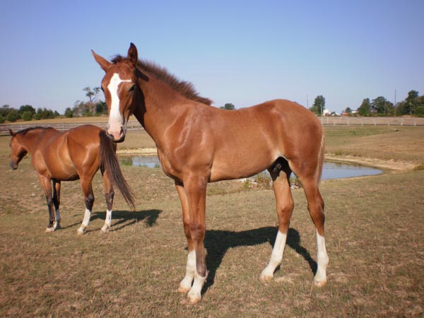 TripTheLightFantastic